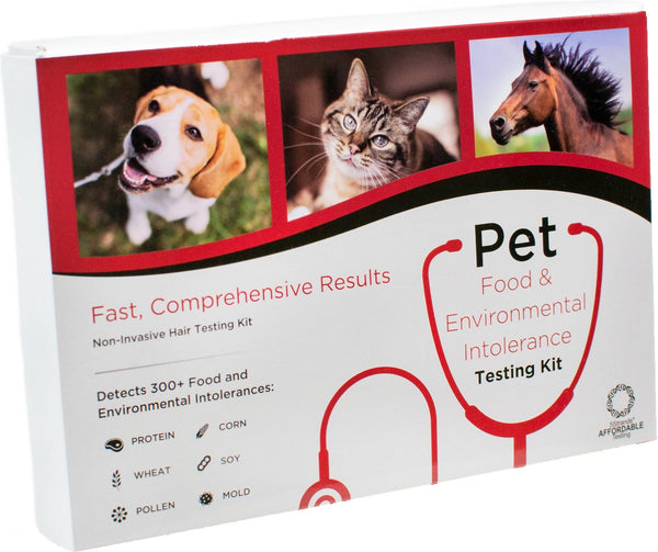5 Strand Pet Food & Environmental Intolerance Testing Kit – Port Perry ...